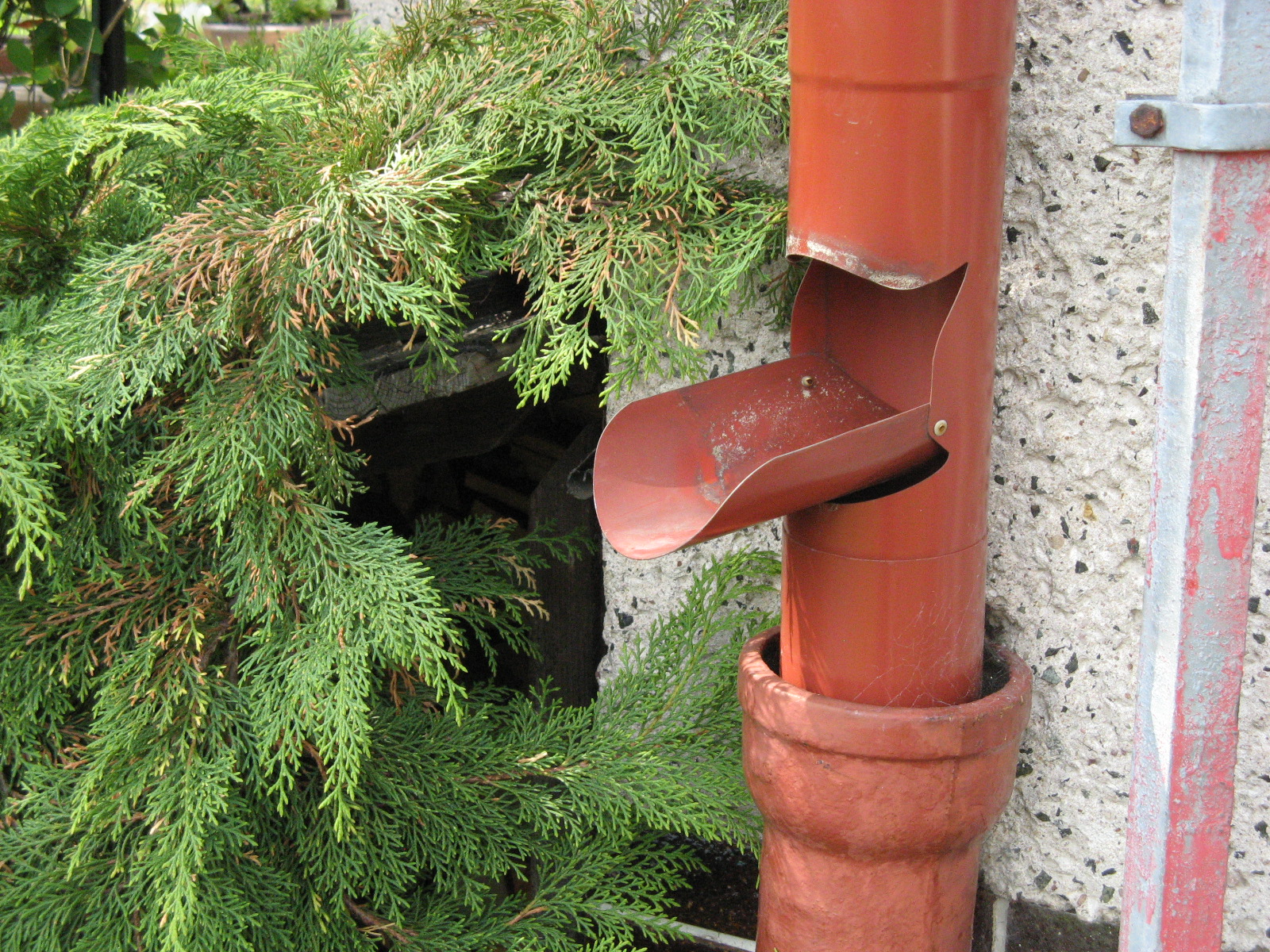 Jak vyzrát na déšť - Lepebydlet.cz